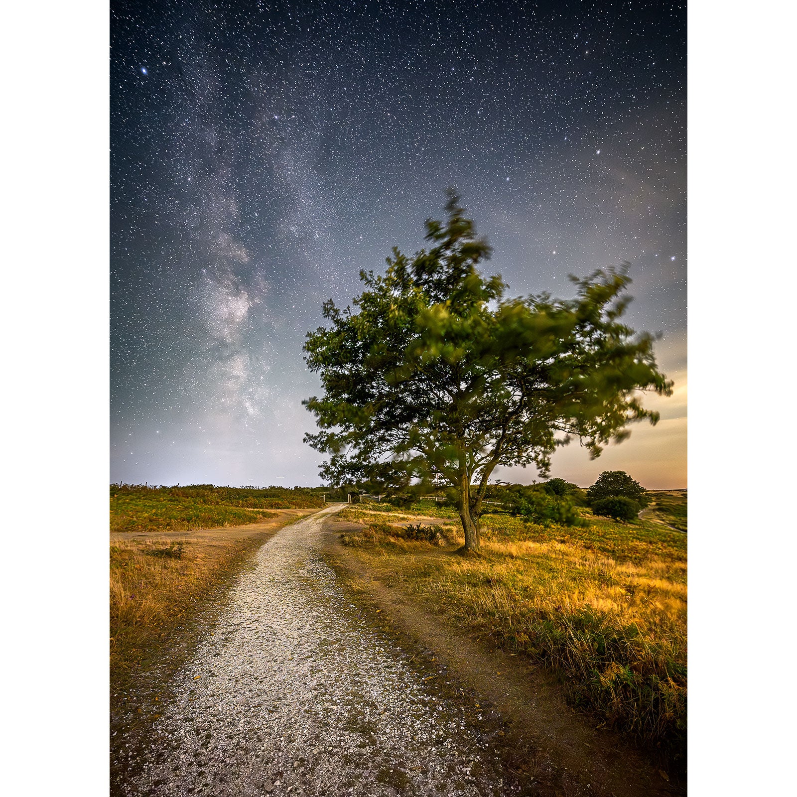 Path to the Stars, Ventnor Down – Available Light Photography