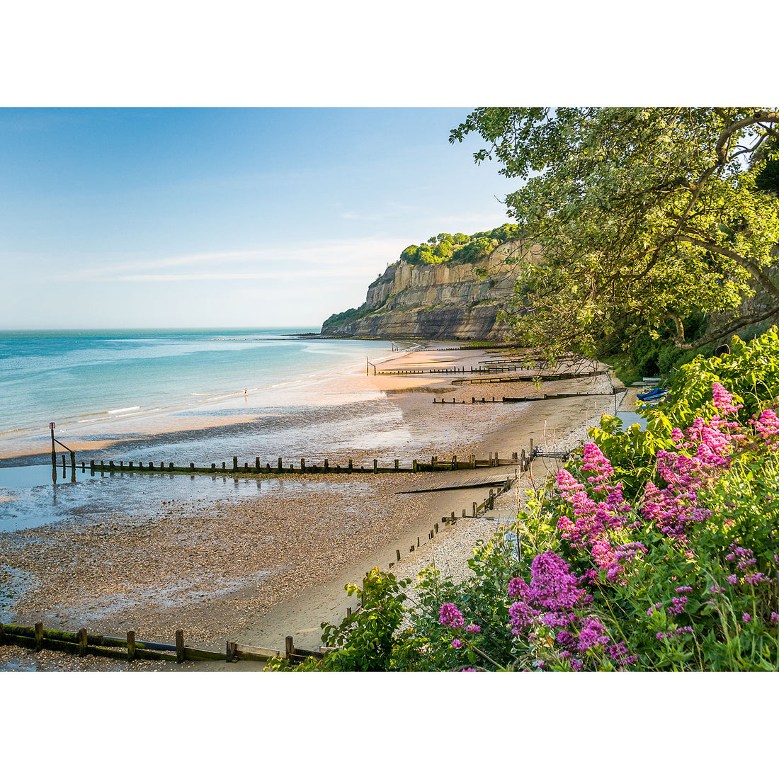 Shanklin Beach – Available Light Photography